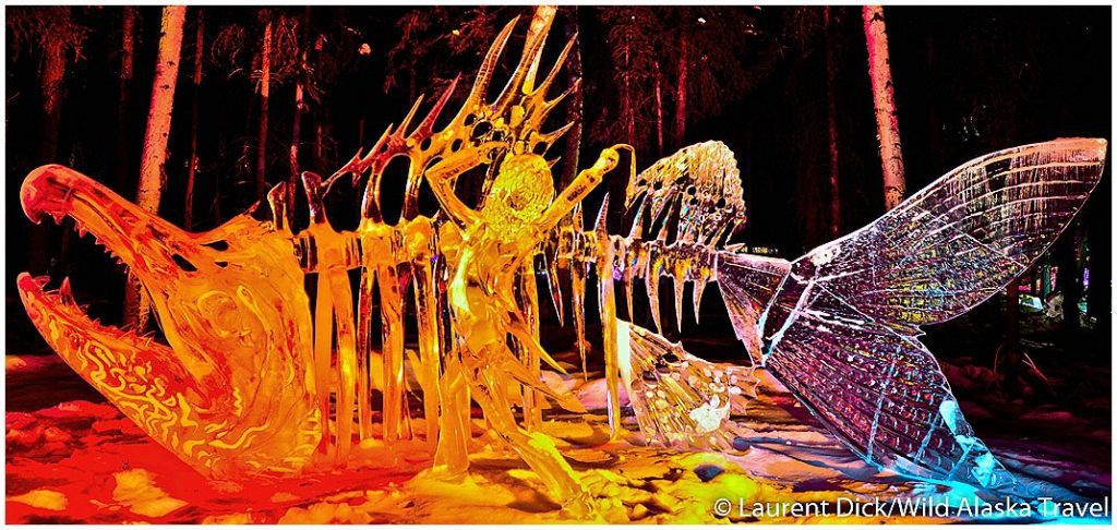 #1 Iditarod Tour | Iditarod 2026 Start Tour